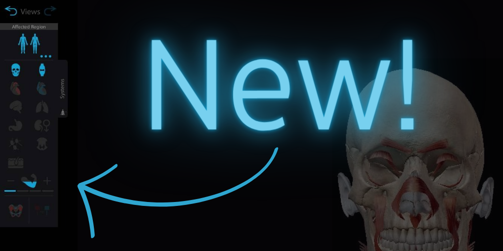 Enhanced Systems Tray Makes Navigating Anatomy Even Easier